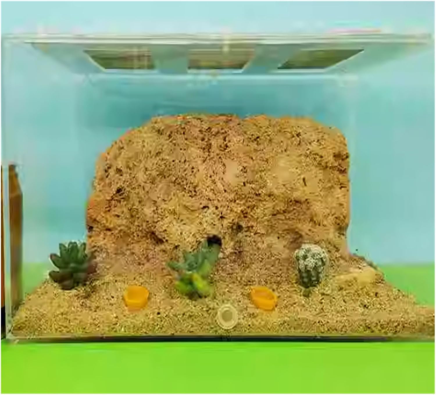Ant Nest Ant Farm Ant House Ant Castle Ant Farm Acrylic Clear Ant Nest ...