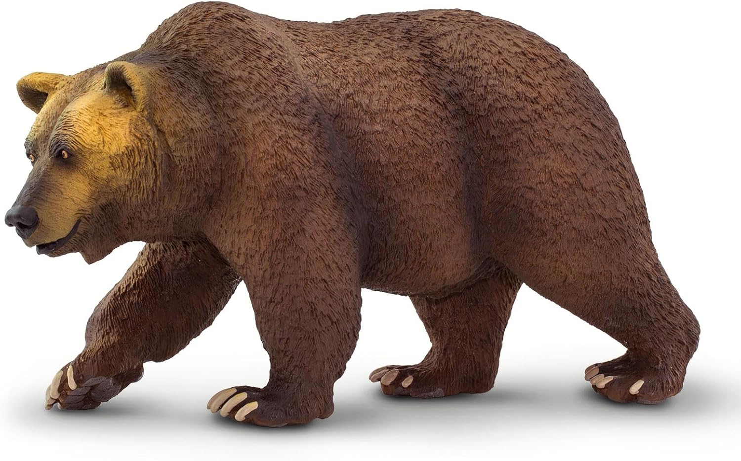 Amazon.com: Safari Ltd. Grizzly Bear - Hand-Painted, Lifelike 9" Model ...