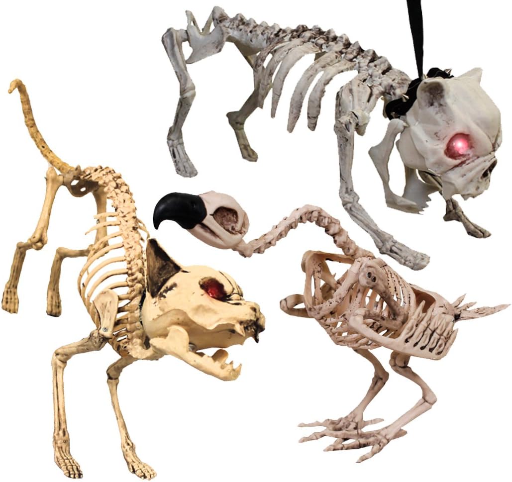 SKELETON CAT AND VULTURE FANCY DRESS PROPS WITH ADJSUTABLE LIMBS ...