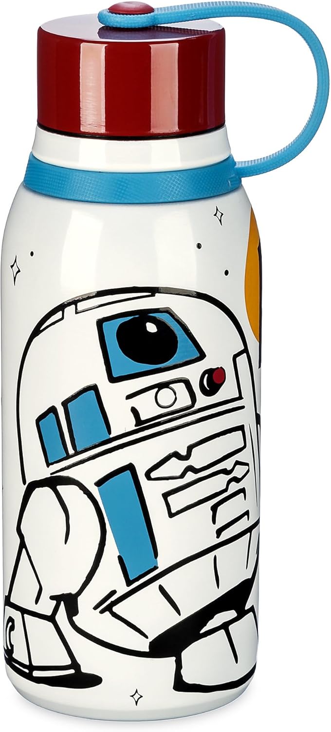 Amazon.com: Disney Store Official R2-D2 Stainless Steel Water Bottle ...