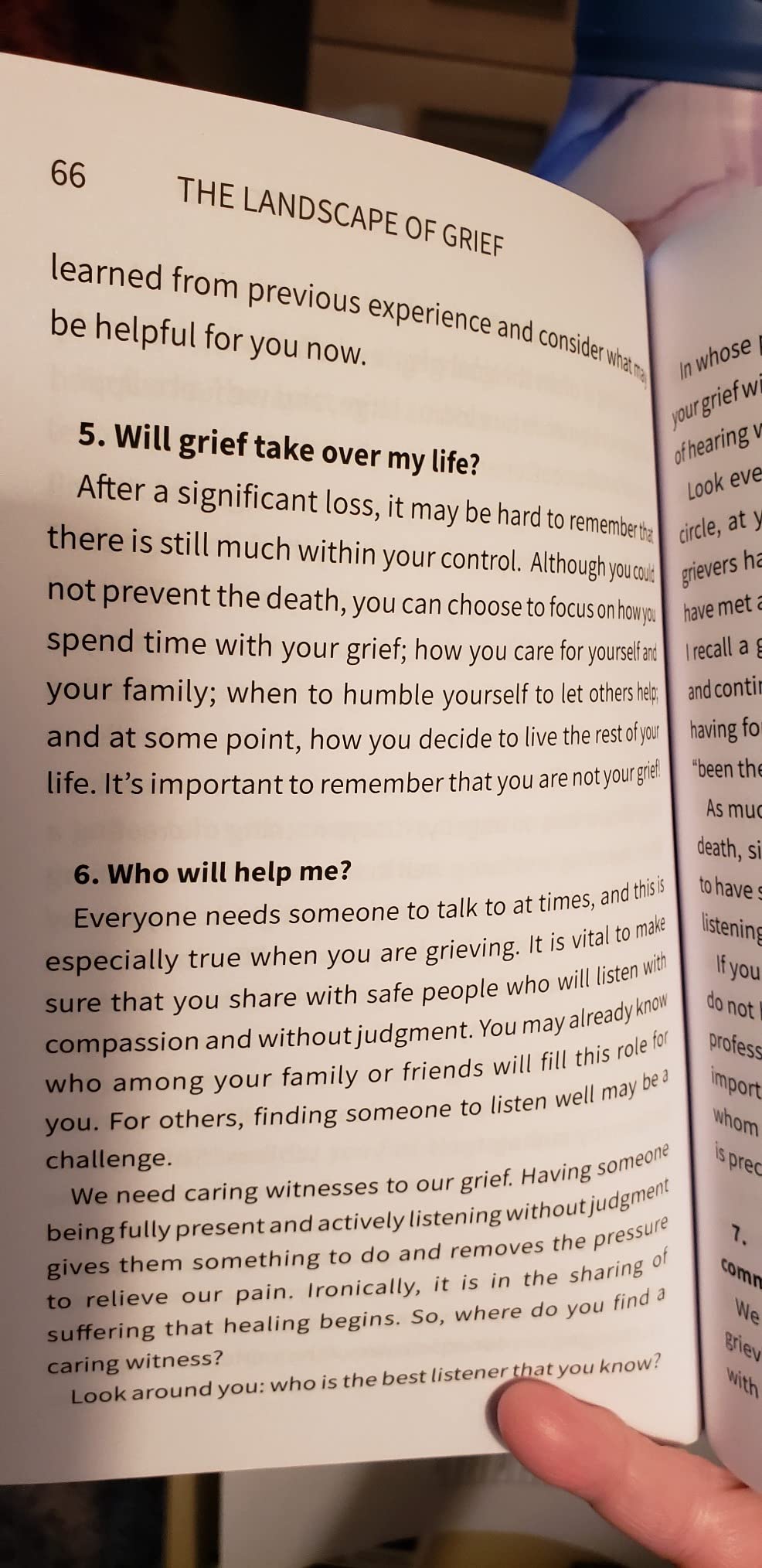 THE LANDSCAPE of GRIEF: The Passage Through Grief to Hope: Barnosky ...