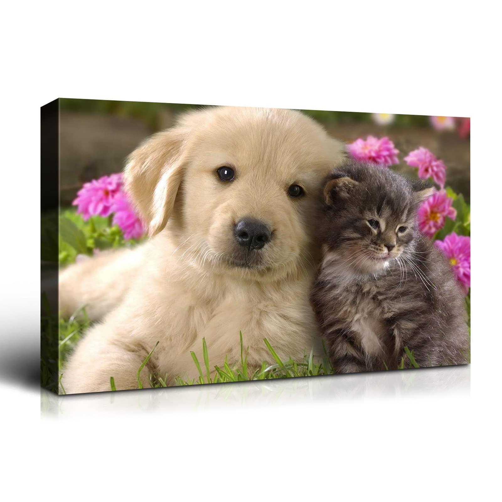 Two Animals Together