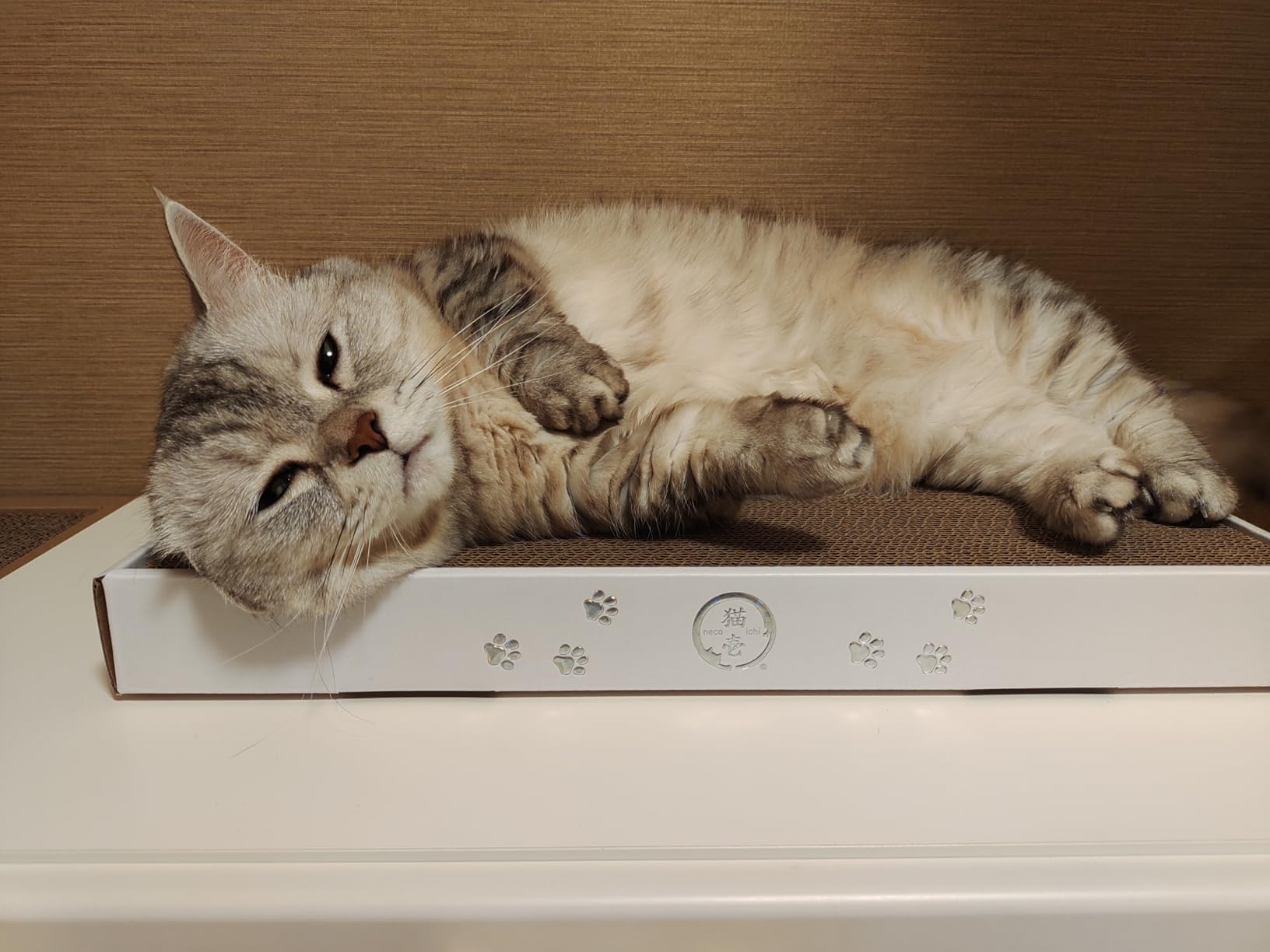 Amazon | 【Amazon.co.jp限定】 necoro(ネコロ) 猫壱 バリバリパッドワイド交換用つめとぎ2個パック ...