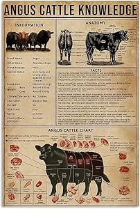 Amazon.com: Youpinnong Angus Cattle Knowledge Vintage Canvas Painting ...