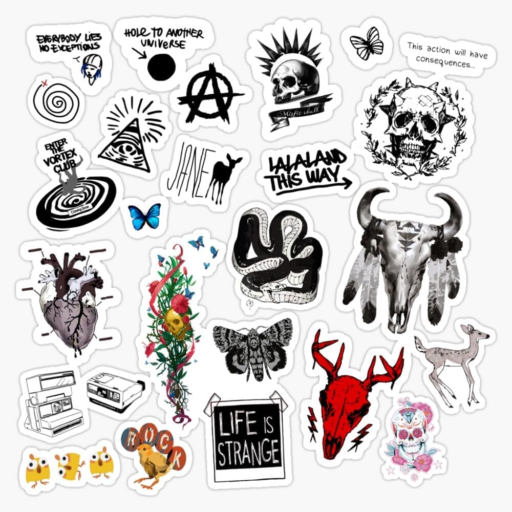 Amazon.com: Life is Strange Butterfly Effect Bumper Sticker Vinyl Decal ...