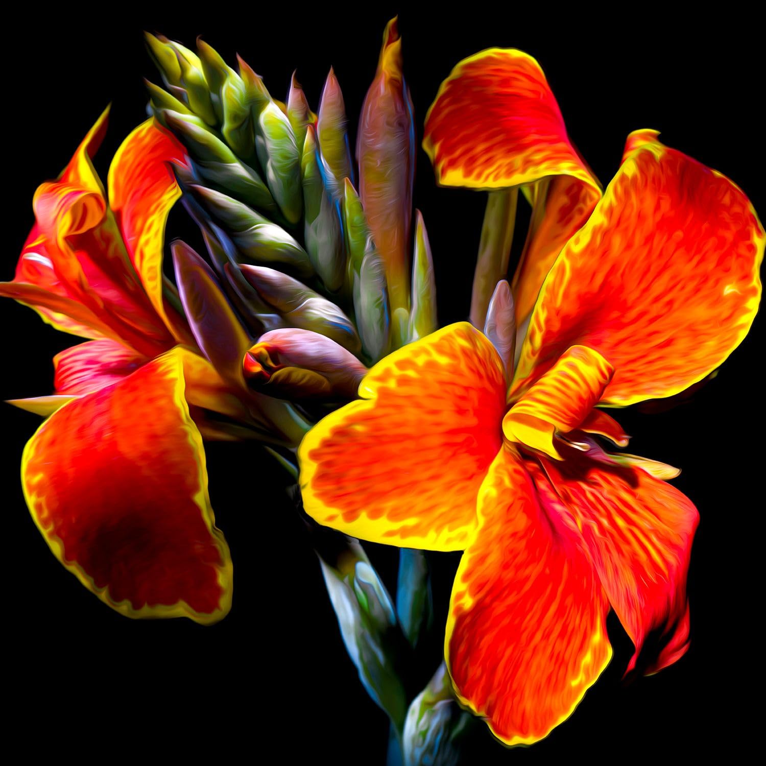 Amazon.com: Springbok's Maderna Canna Lily 500 Piece Jigsaw Puzzle for ...