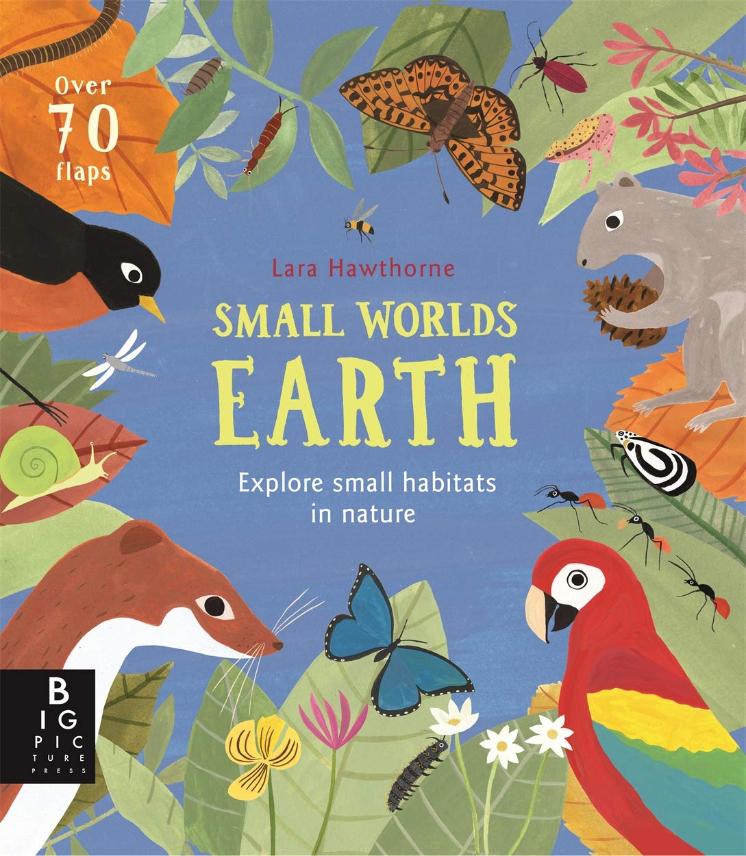 Small Worlds: Earth: Bedoyere, Camilla De La: 9781787415638: Amazon.com ...
