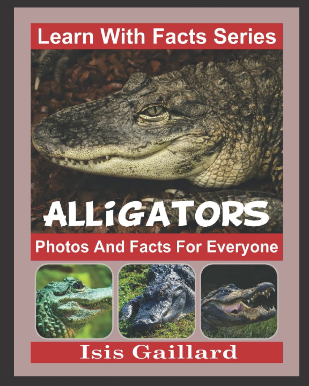 Alligators Photos and Facts for Everyone: Animals in Nature (Learn With ...