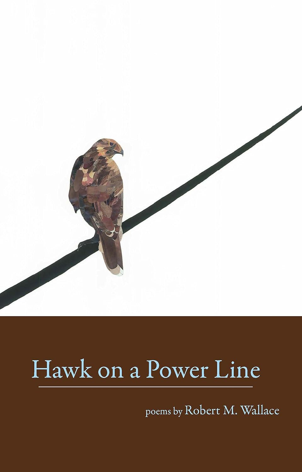 Hawk on a Power Line: Robert M. Wallace: 9780945083405: Amazon.com: Books