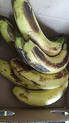 Fresh Banana Robusta, 500 g : Amazon.in: Grocery & Gourmet Foods