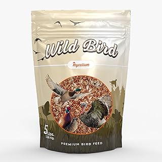 A Pheasant's Diet: Natural Food Sources And More | ShunKeto