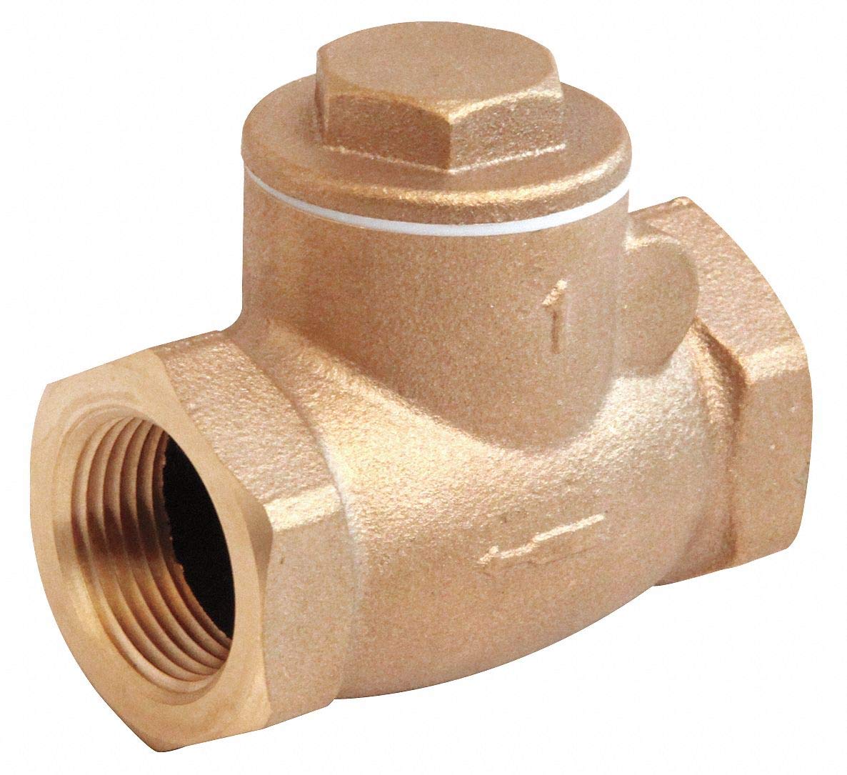 Swing Check Valve, Bronze, 2 in, NPT: Amazon.com: Industrial & Scientific