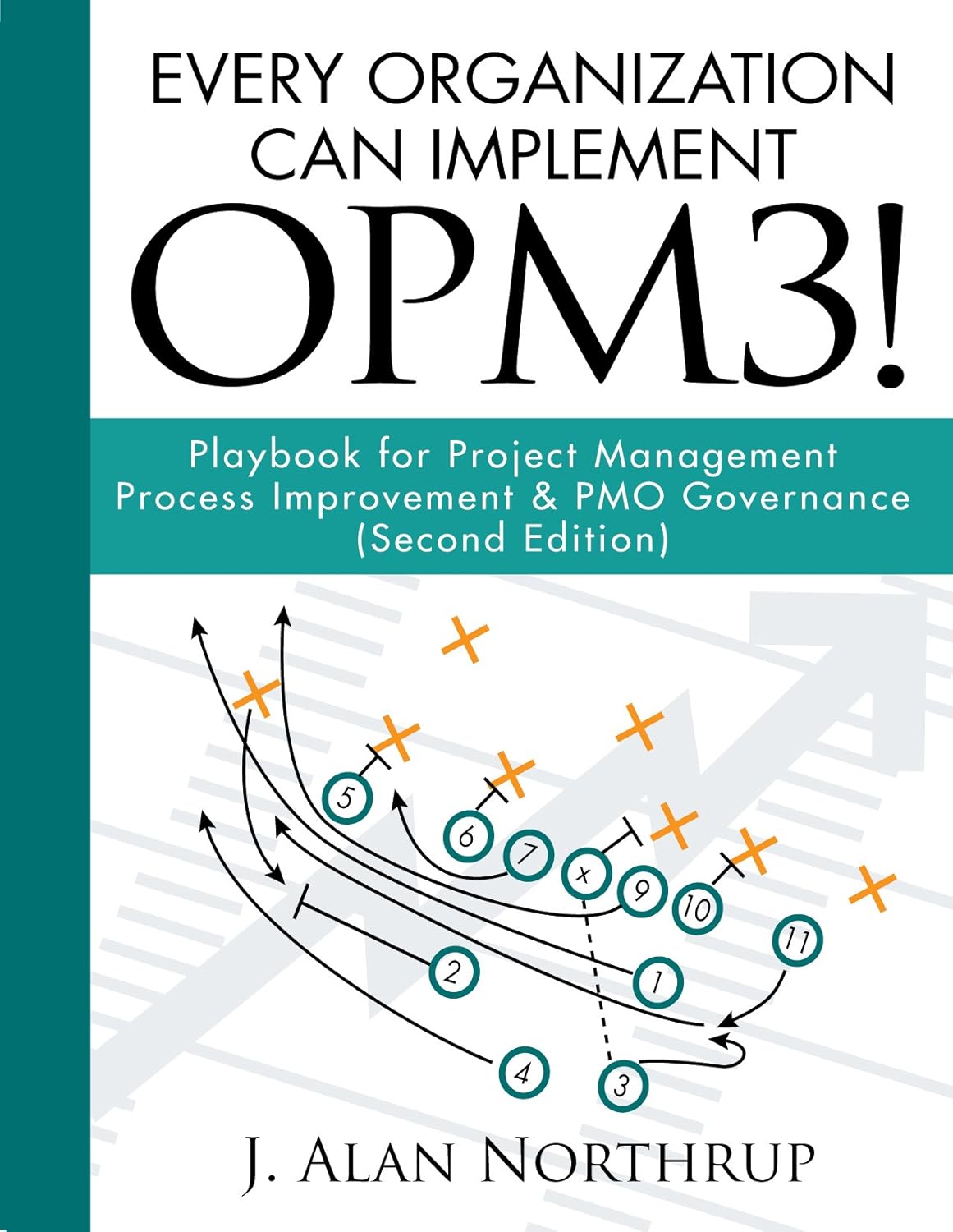 Every Organization Can Implement OPM3! Playbook for Project Management ...