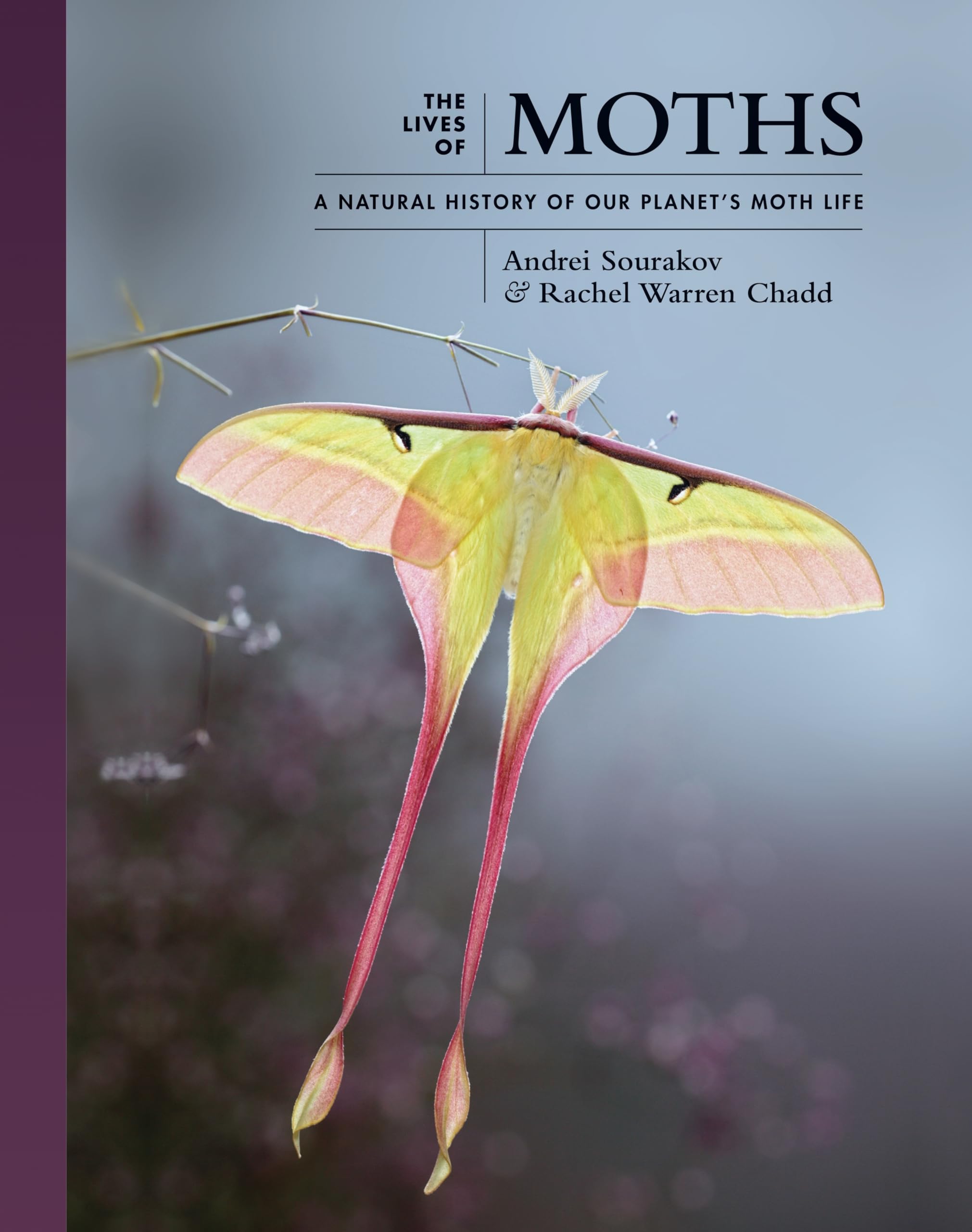 The Lives of Moths: A Natural History of Our Planet's Moth Life (The ...