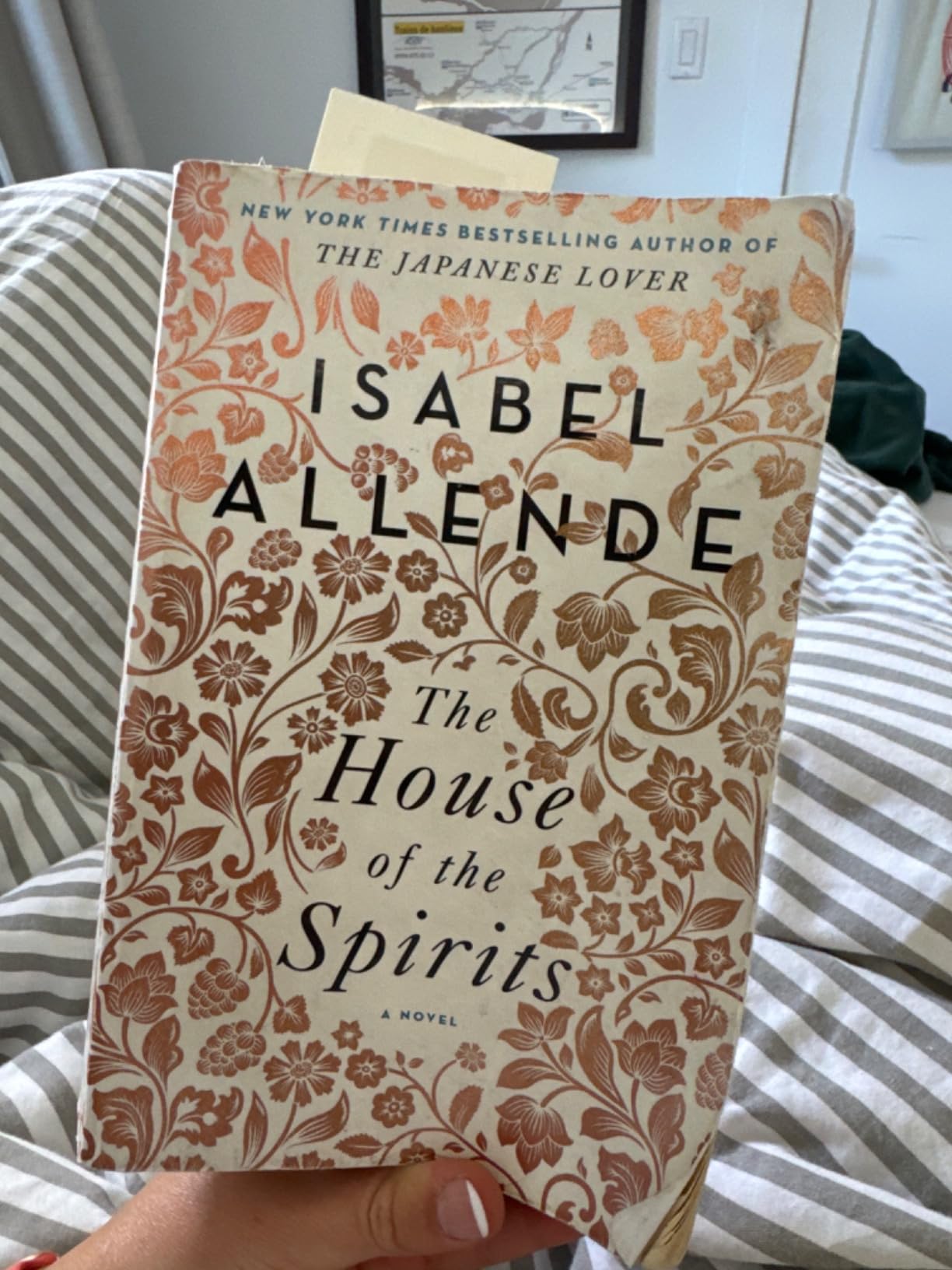 The House of the Spirits: Allende, Isabel: 9780553273915: Books - Amazon.ca