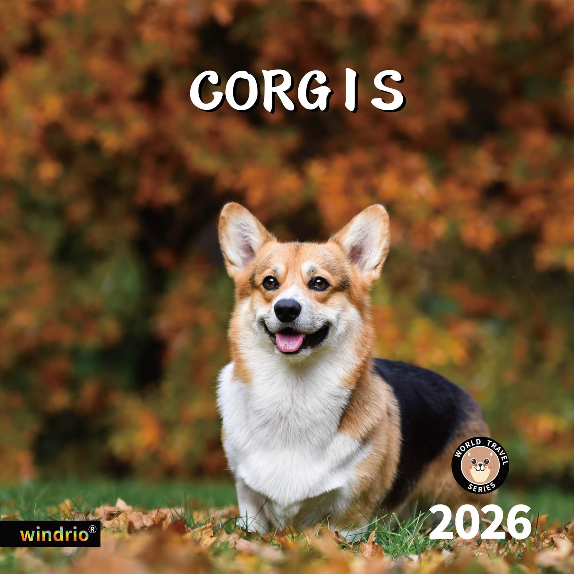 Snapklik.com : 2026 Wall Calendar, July 2025 - December 2026, Wall ...