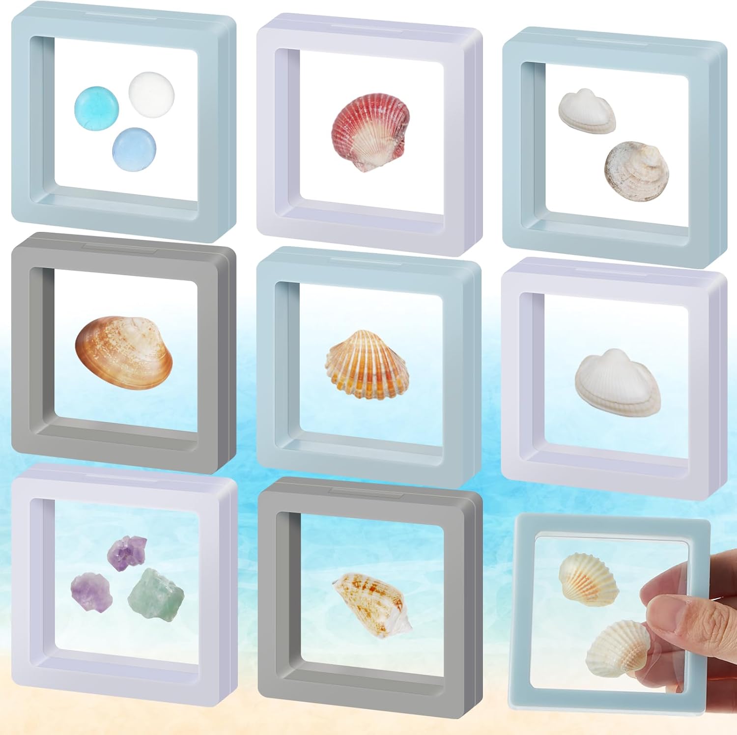 Amazon.com: Juexica 9 Pcs Seashell Holder 3D Floating Display Box 2.7 x 2.7 Inches Transparent ...