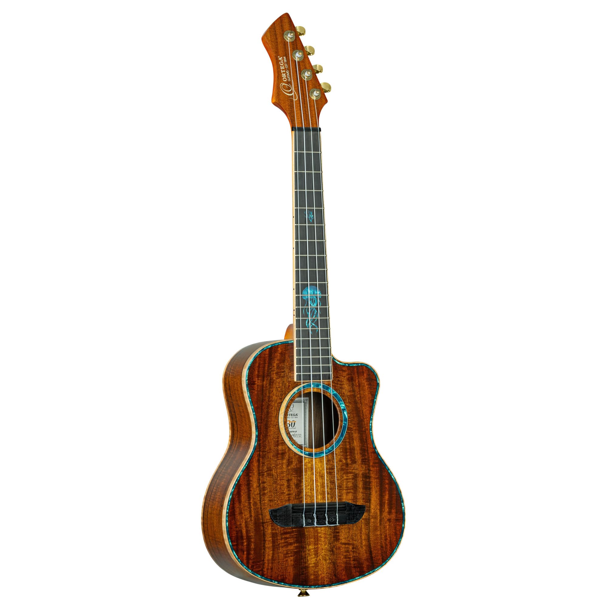 Amazon.com: 30th Anniversary Horizon Reverse Headstock Tenor Acoustic ...