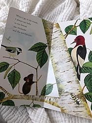 I am a Mouse (A Golden Sturdy Book): Risom, Ole, Miller, J. P ...