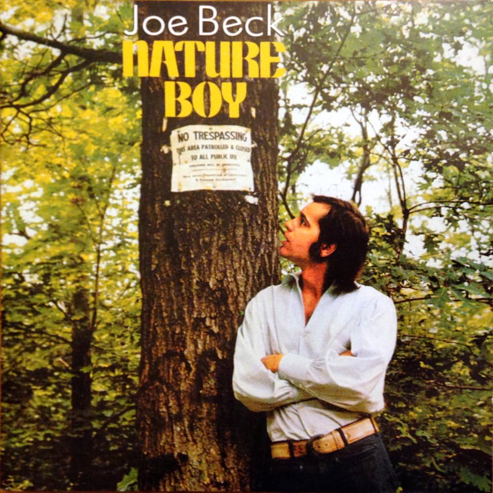 Nature Boy: Amazon.co.uk: CDs & Vinyl