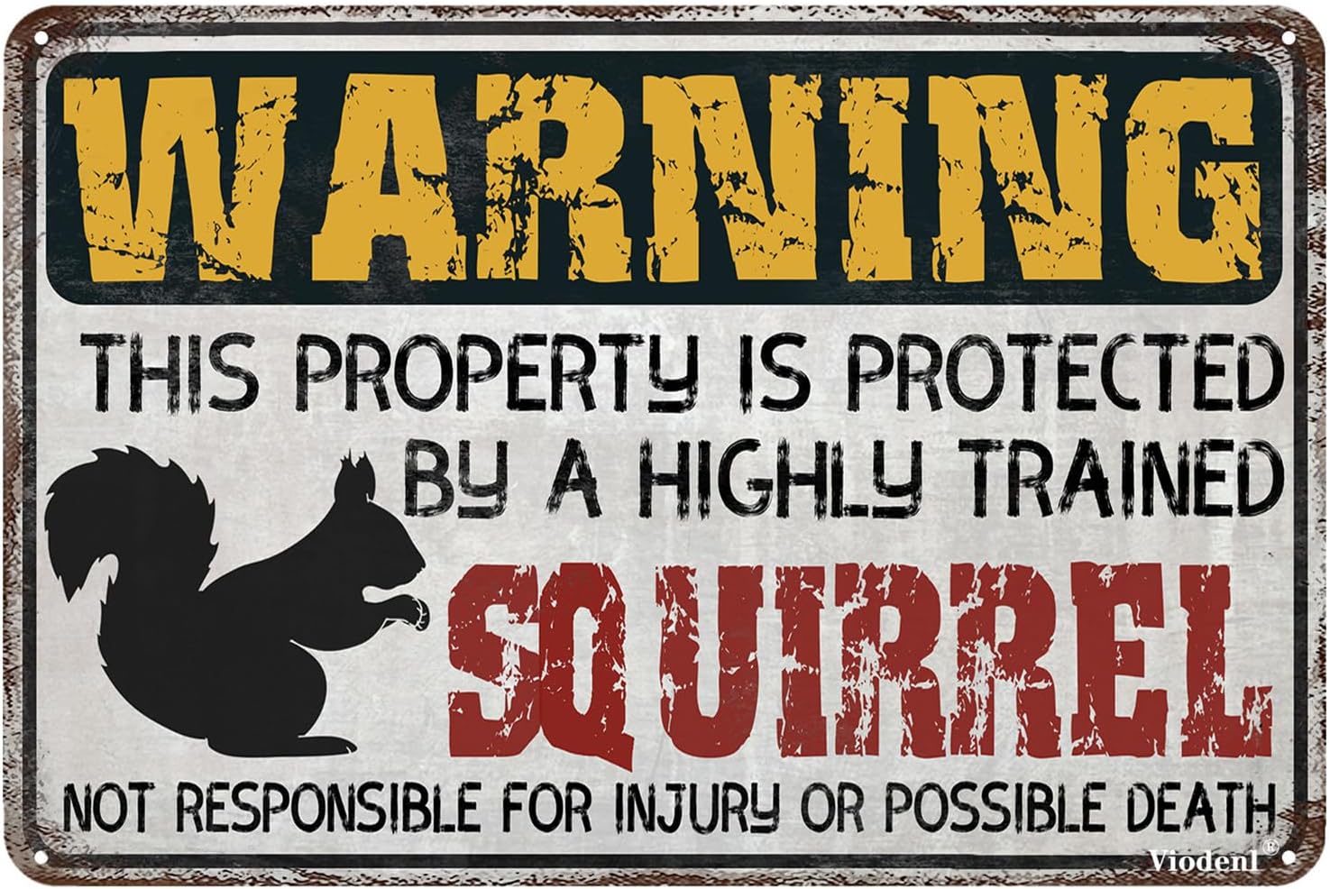 Amazon.com: Jicht Squirrel Sign Funny Metal Tin Sign, 8x12INCH, Warning ...