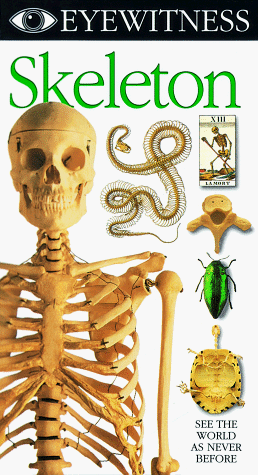 Skeleton (Eyewitness Lvg World Video): DK Publishing: 9780789400352 ...