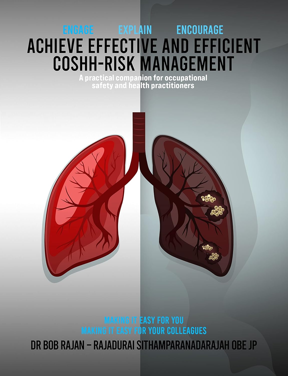 ACHIEVE EFFECTIVE AND EFFICIENT COSHH-RISK MANAGEMENT: A practical ...