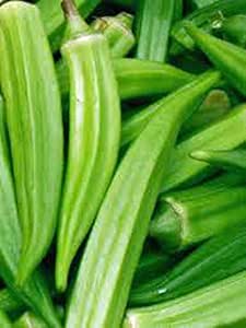 Amazon.com: Okra semillas, esmeralda, Heirloom, orgánico, Non OGM, 100 ...
