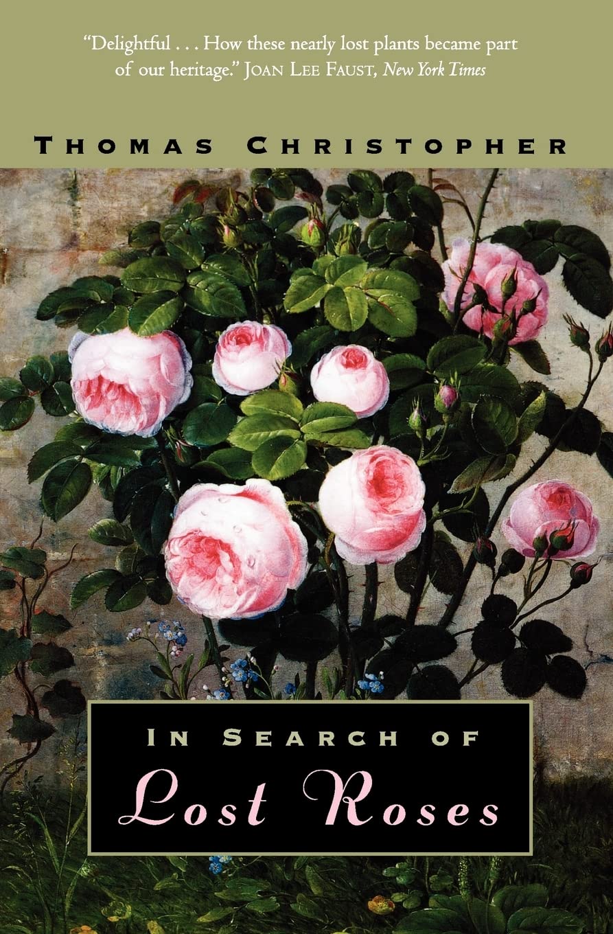 In Search of Lost Roses: Christopher, Thomas: 9780226105963: Amazon.com ...