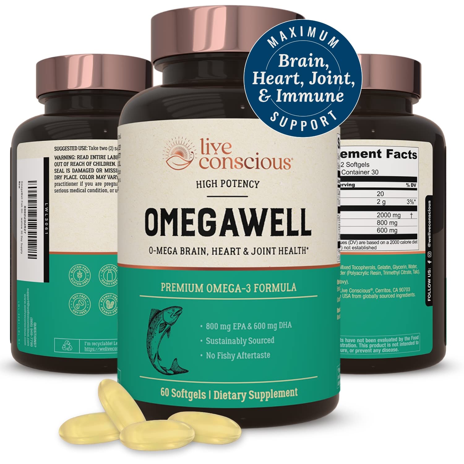 Snapklik.com : OmegaWell Omega 3 Fish Oil - 2000mg Capsules: Heart ...