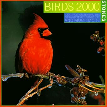 Birds 2000 | Amazon.com.br