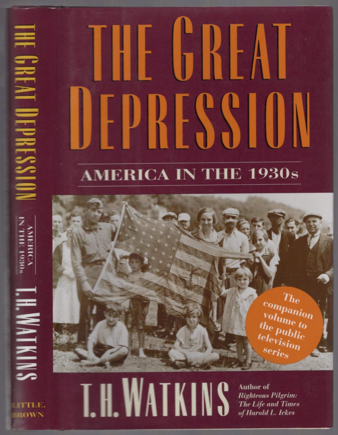 The Great Depression: America in the 1930s: Watkins, T. H ...