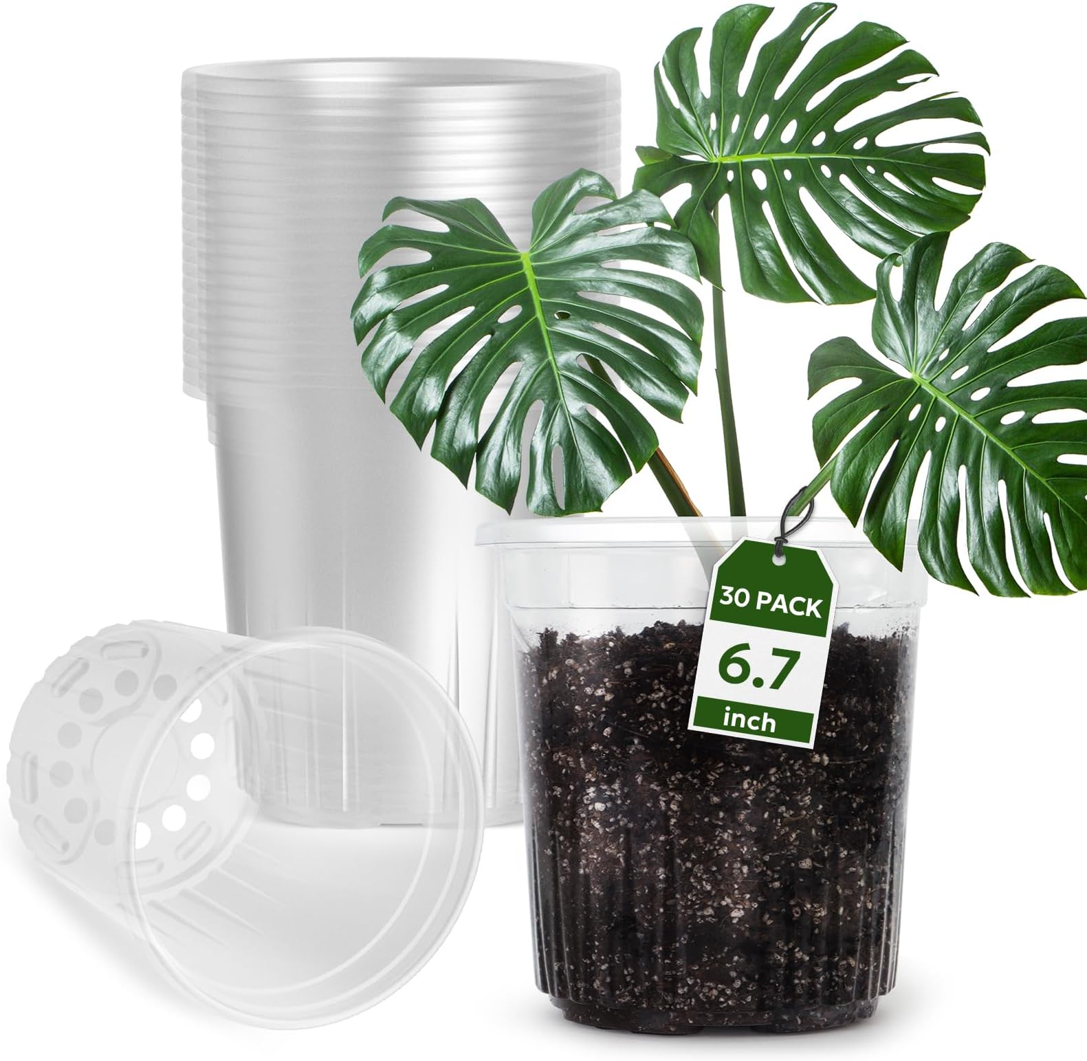 Amazon.com: GREENPARA Transparent Plastic Planter 4 inch Plant Nursery ...