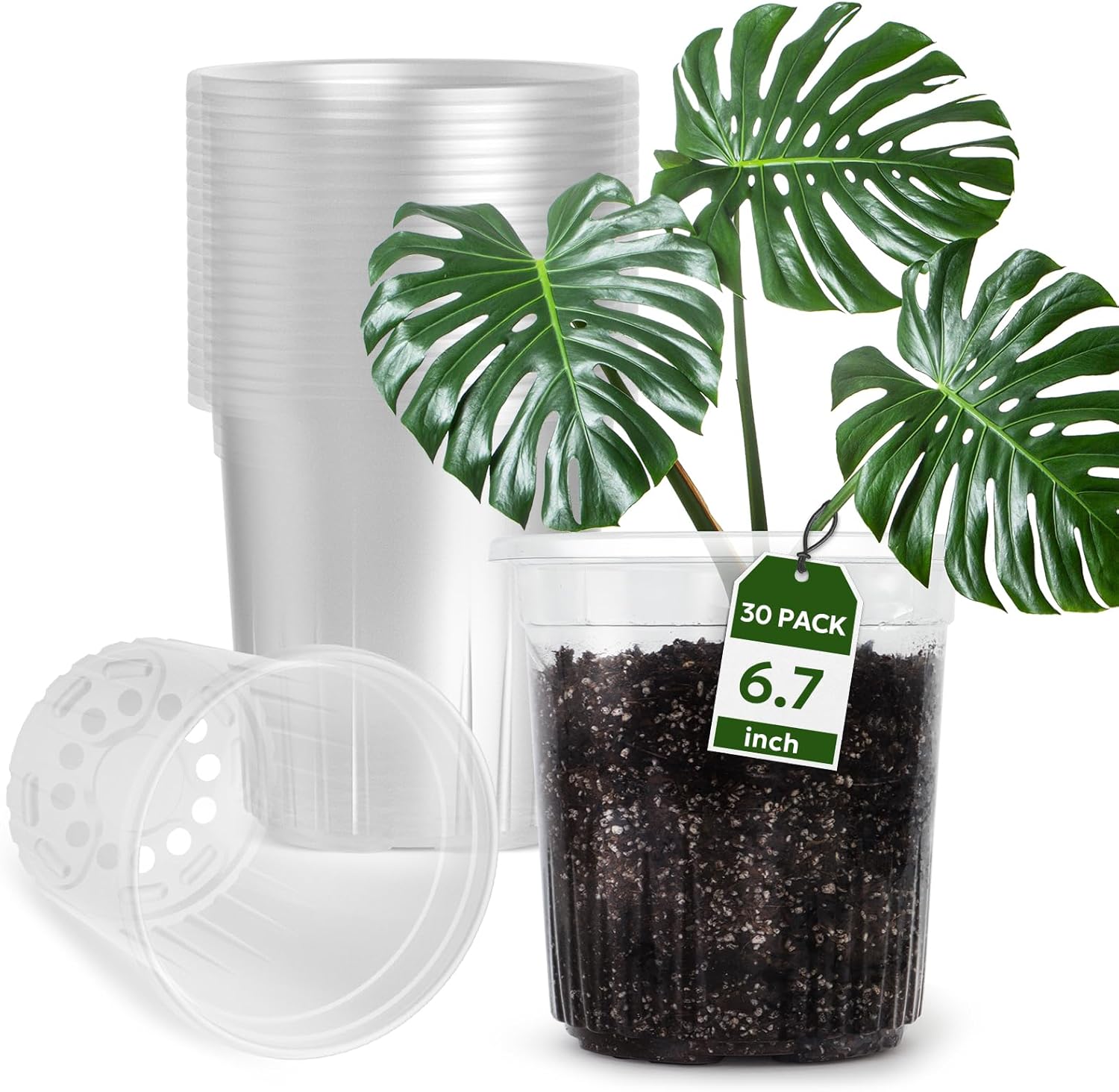 Amazon.com: Bluepro 1 Gallon Reinforced Clear Nursery Pots with ...