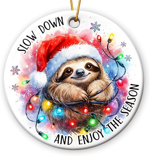 Amazon.com: Sloth Christmas Ornaments 2025, Animal Lover Gifts for ...
