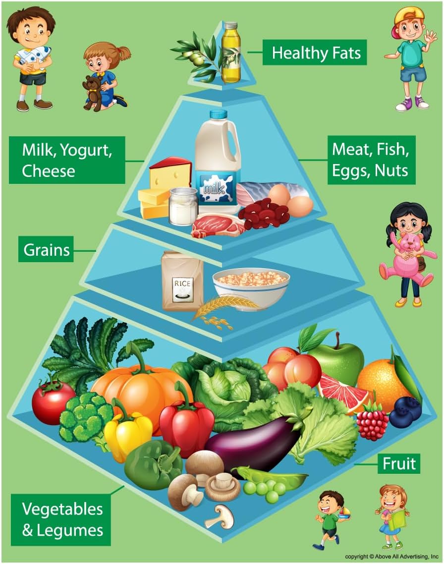 Healthy Food Pyramid Chart for Kids Learning, Food Australia | Ubuy