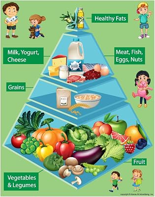 Healthy Food Pyramid Chart for Kids Learning, Food Morocco | Ubuy