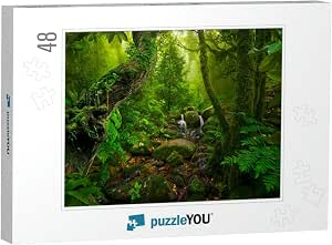 Amazon.com: Asian Tropical Rainforest... Jigsaw Puzzle Jigsaw Puzzle ...