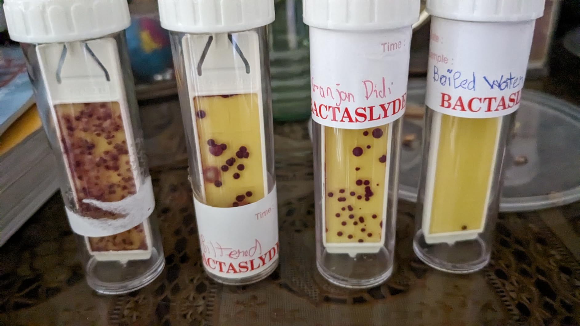 BACTASLYDE Ecoli(Coliform)Bacteria Test Kit : Amazon.in: Garden & Outdoors