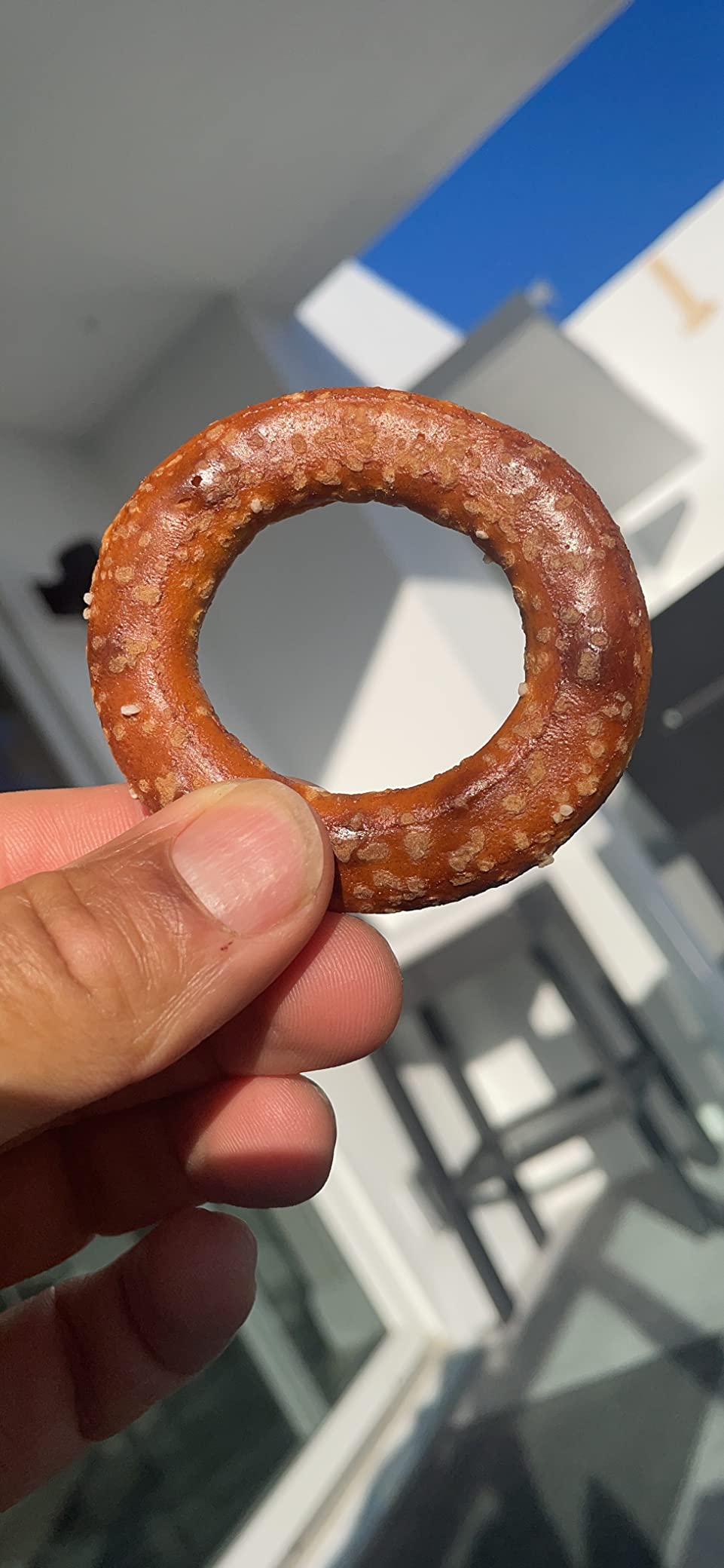 Amazon.com : Unique Pretzel, Sourdough Craft Beer Pretzel Rings, 11 ...
