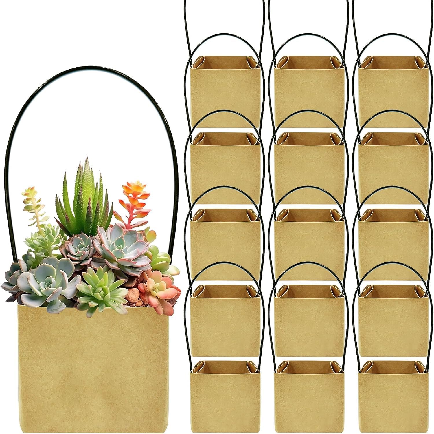 Amazon.com: 50PCS Succulents Wraps,Succulent Gift Bags with Handles ...