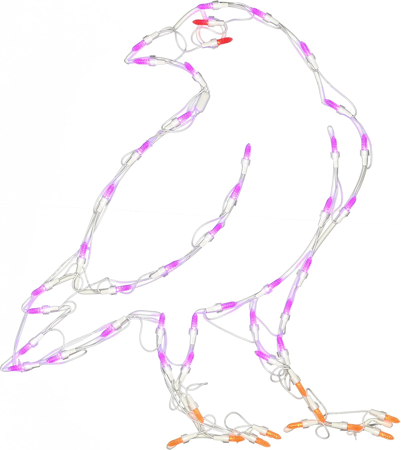 Amazon.com: National Tree Company Lighted Sign Decoration, White, Raven ...