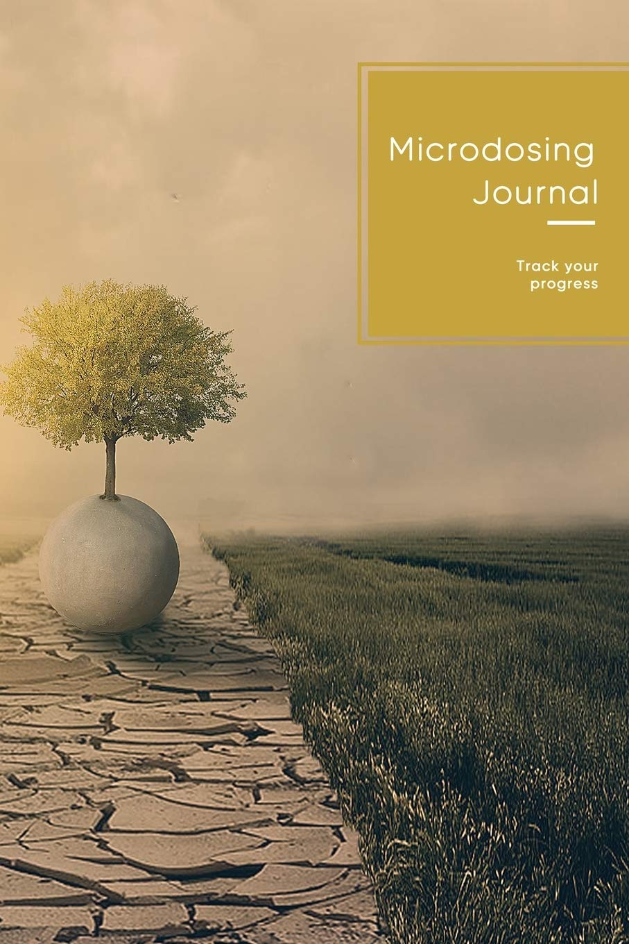 Microdosing Journal: A diary for improving your microdose journey ...