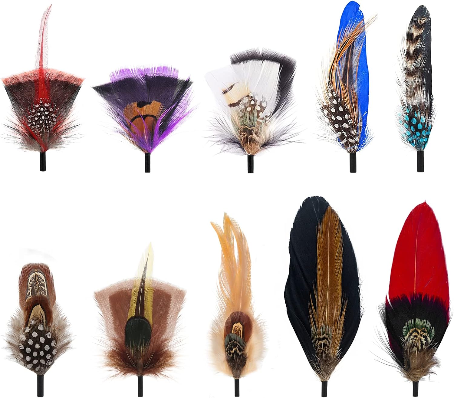 Amazon.com: Hat Feathers, 10Pcs Assorted Natural Feather Packs ...