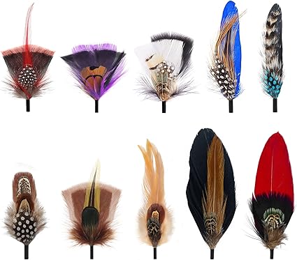 Amazon.com: Hat Feathers, 10Pcs Assorted Natural Feather Packs ...
