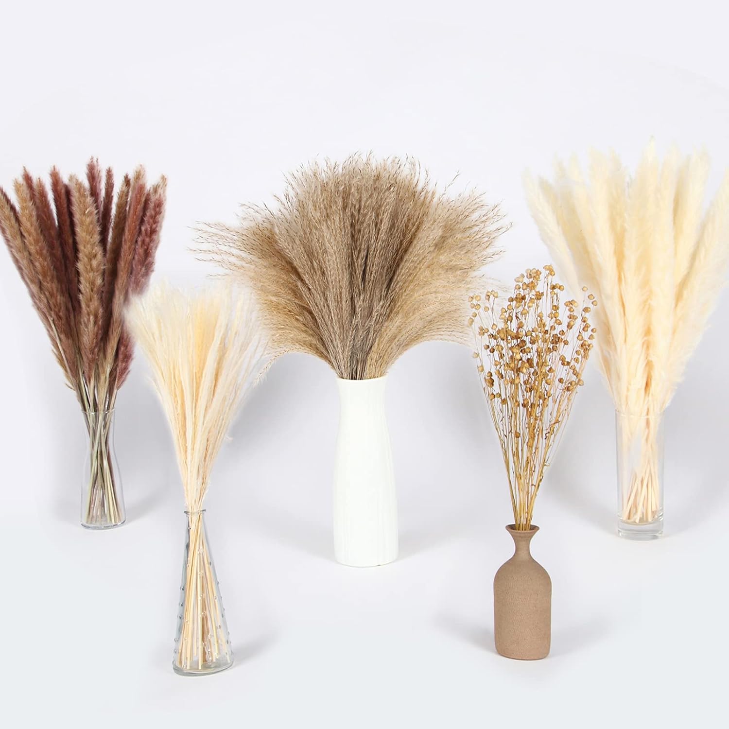 Amazon.com: 120 PCS Pampas Grass, Dried Pampas Grass Decor Contains ...