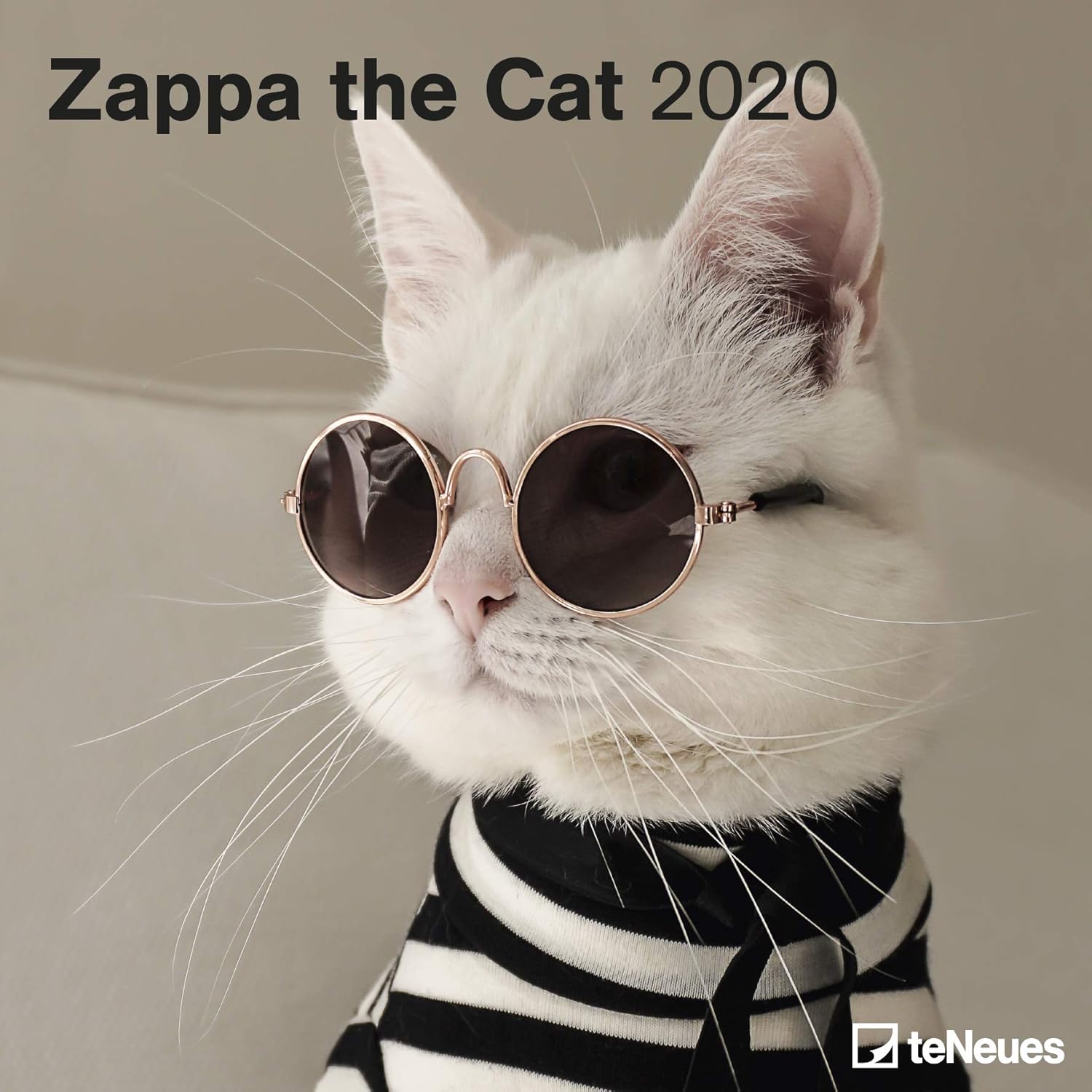 Zappa the Cat 2020 - Broschürenkalender - Wandkalender - Fotokalender ...
