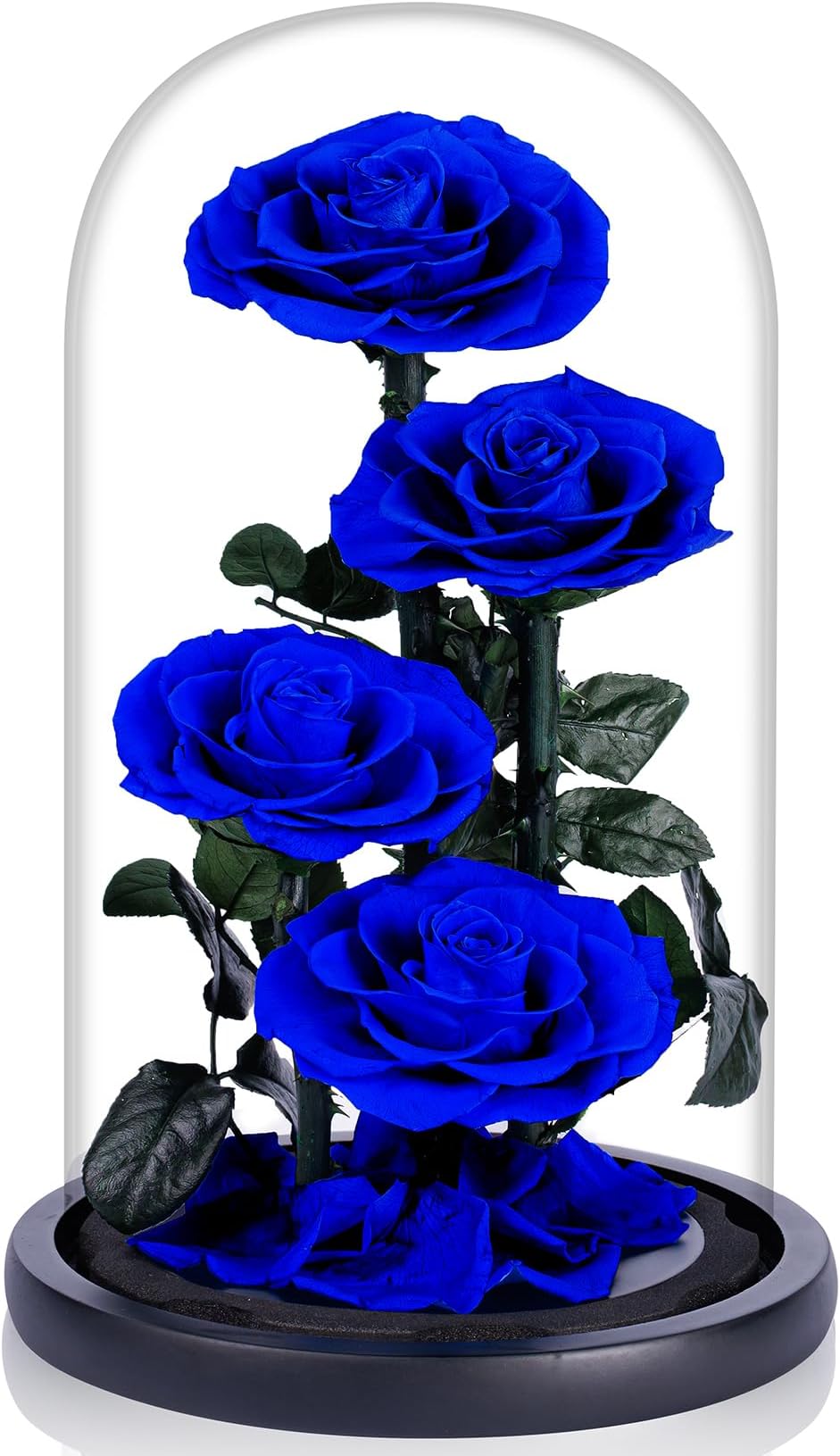 Amazon.com: Preserved Flowers in Glass Dome - Forever Real Roses Gifts ...