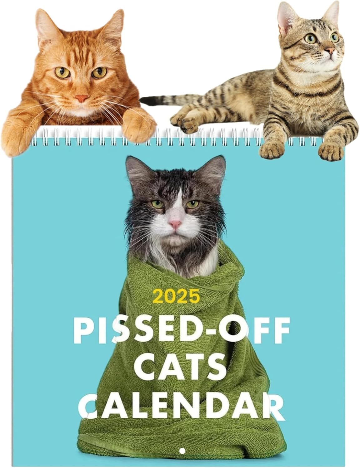 12 Month Cat Calendar 2025, Funny Monthly Paper Planner Wall Cat ...