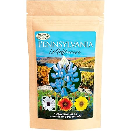 Amazon.com : Pennsylvania Wildflower Bulk Seed Mix - Over 50,000 ...